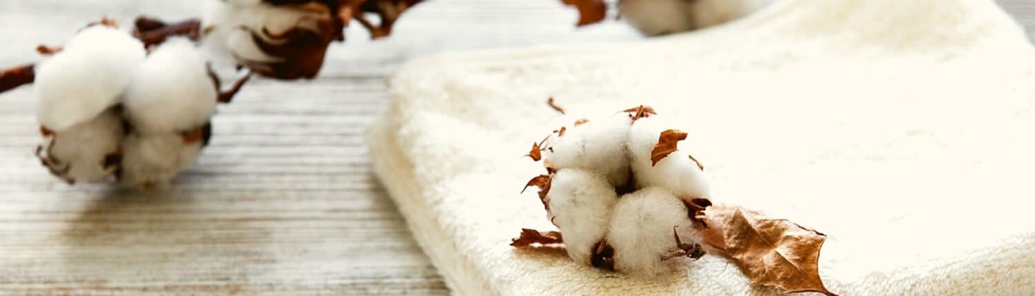 Properties Of Cotton Fibers - An In Depth Look - TextileTuts