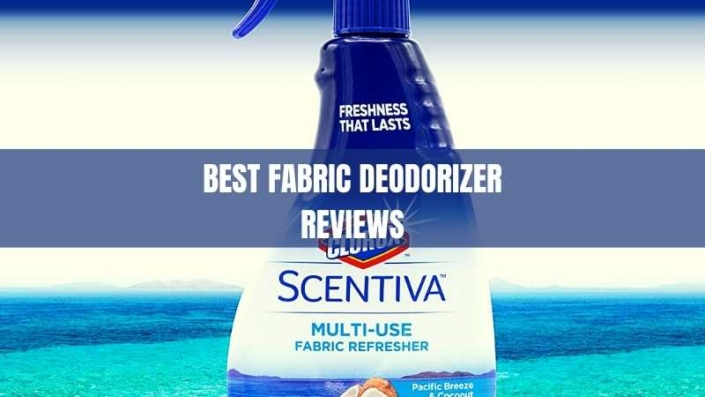 10 Best Fabric Deodorizer With Buying Guide - TextileTuts