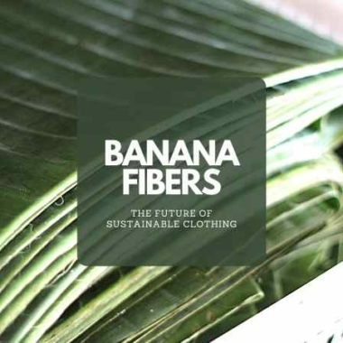 Banana Fibers - The Future of Sustainable Clothing - TextileTuts