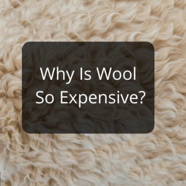 Why Is Wool So Expensive? - TextileTuts
